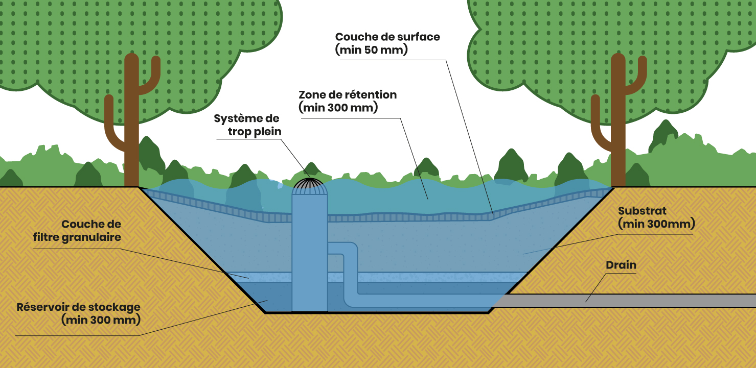 Les systèmes de biorétention : des OGEP pour les milieux urbains - Avizo