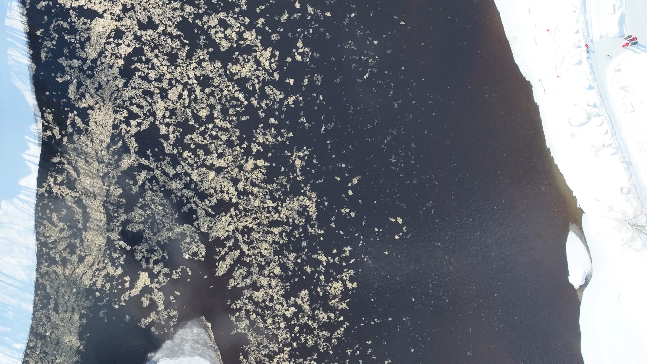 Glace fluviale - Avizo